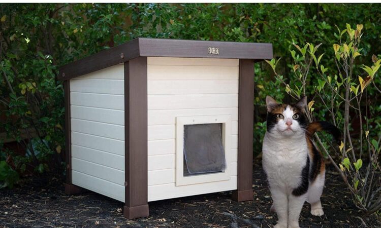 Top 14 Best Waterproof Outdoor Cat House for Winter | SavingGain