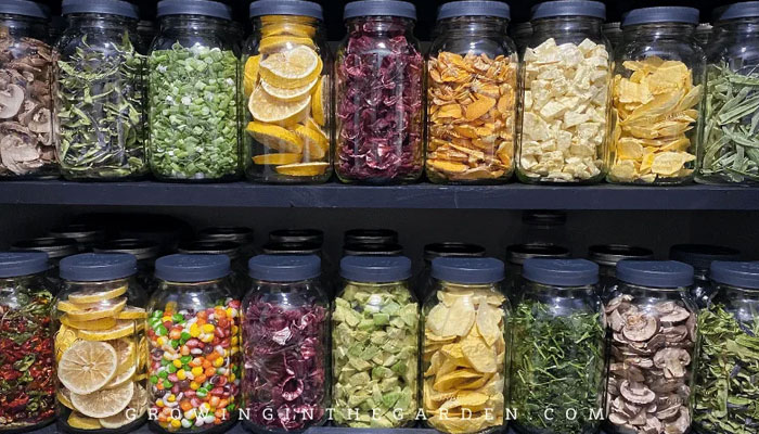 The Top Best Freeze-Dried Foods For Long-Term Storage | SG
